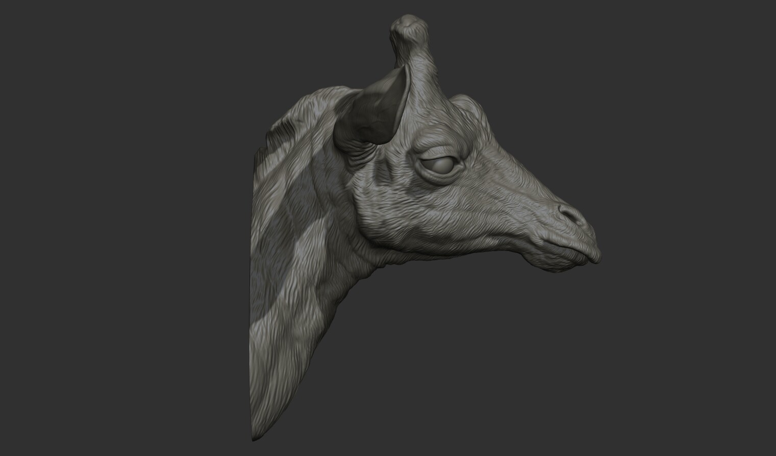 ArtStation - Giraffe head | Resources