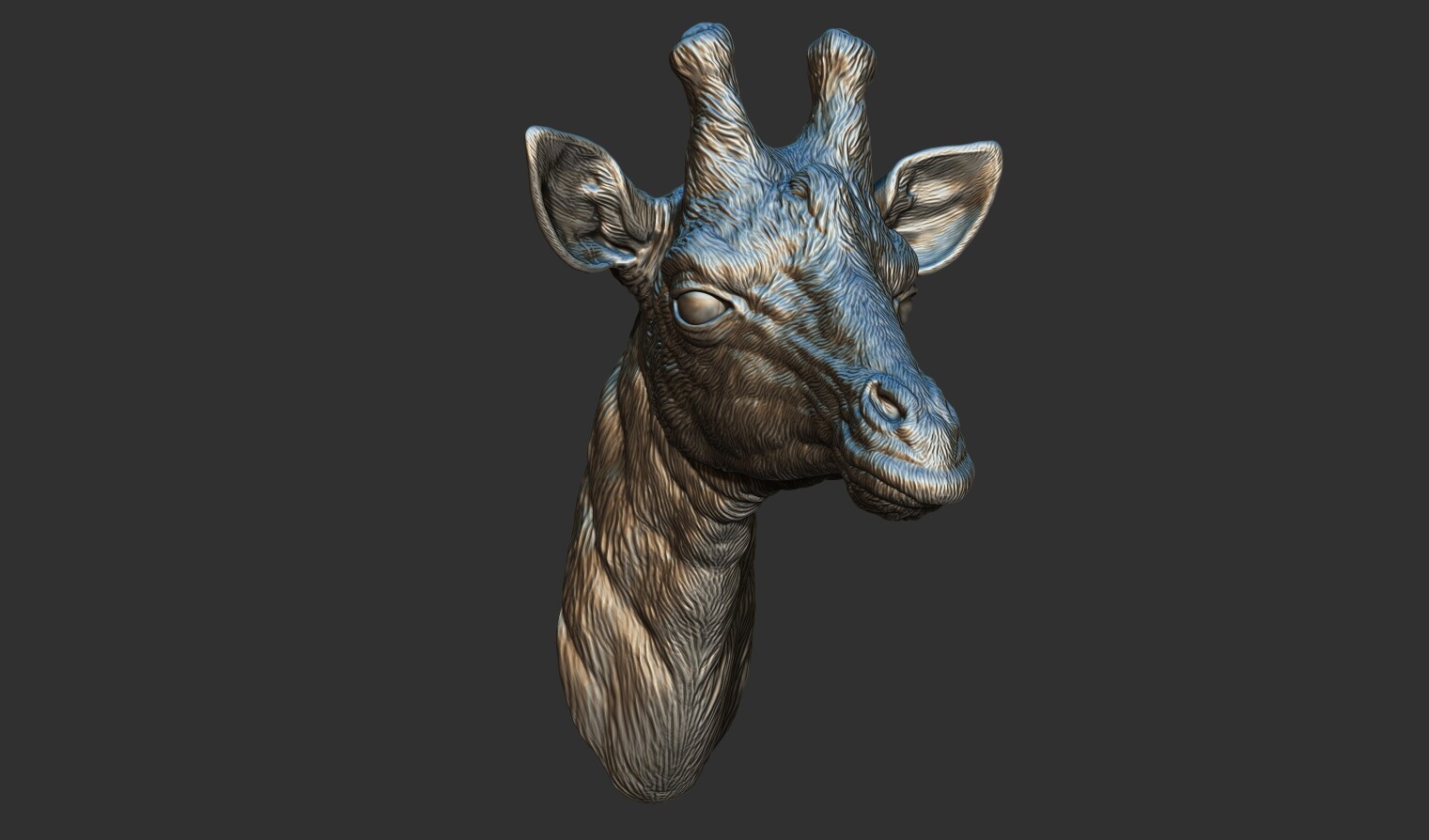 ArtStation - Giraffe head | Resources