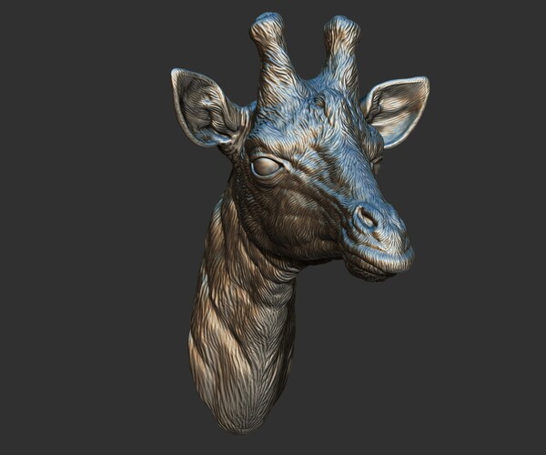 ArtStation - Giraffe head | Resources