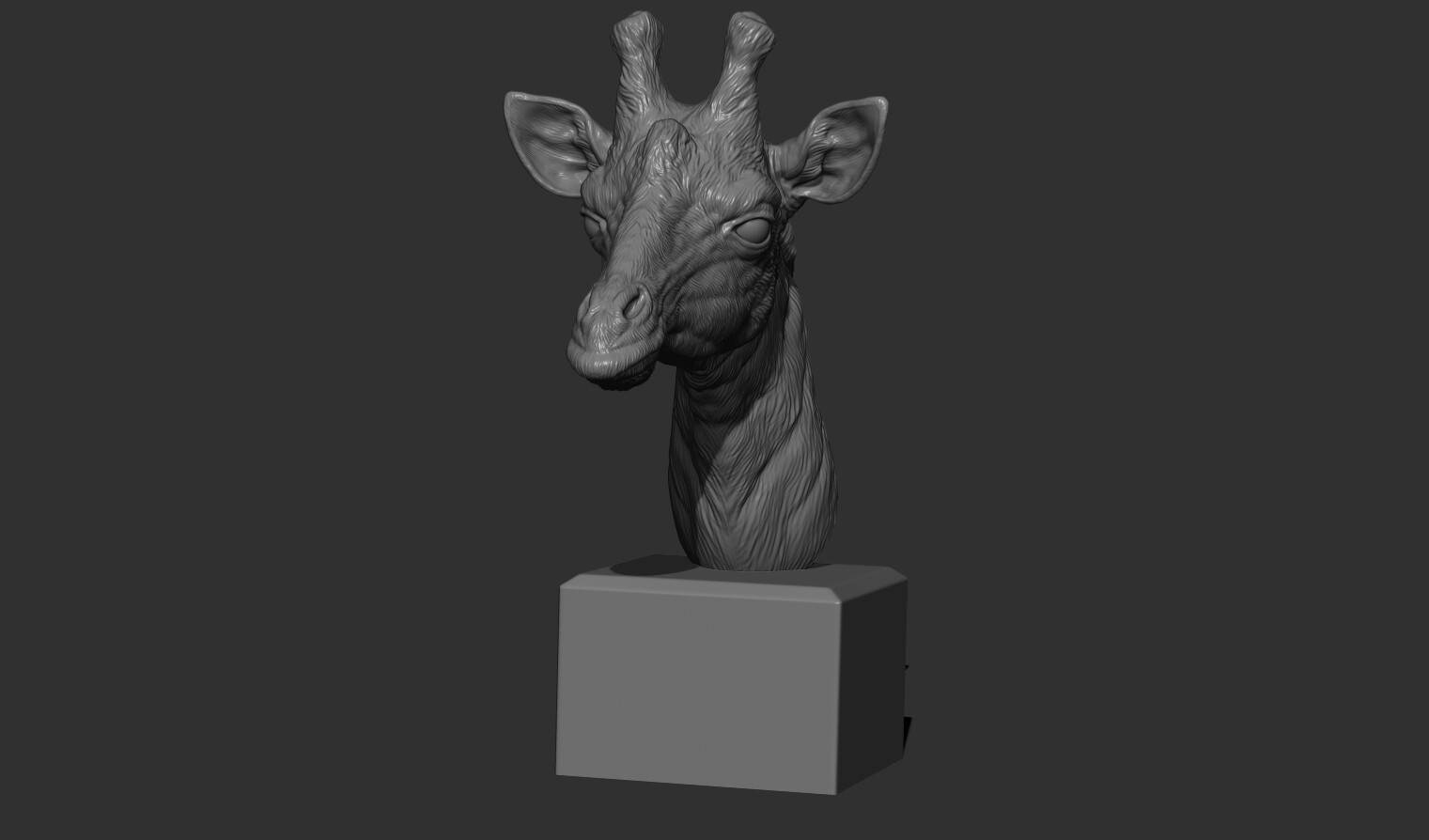 ArtStation - Giraffe head | Resources