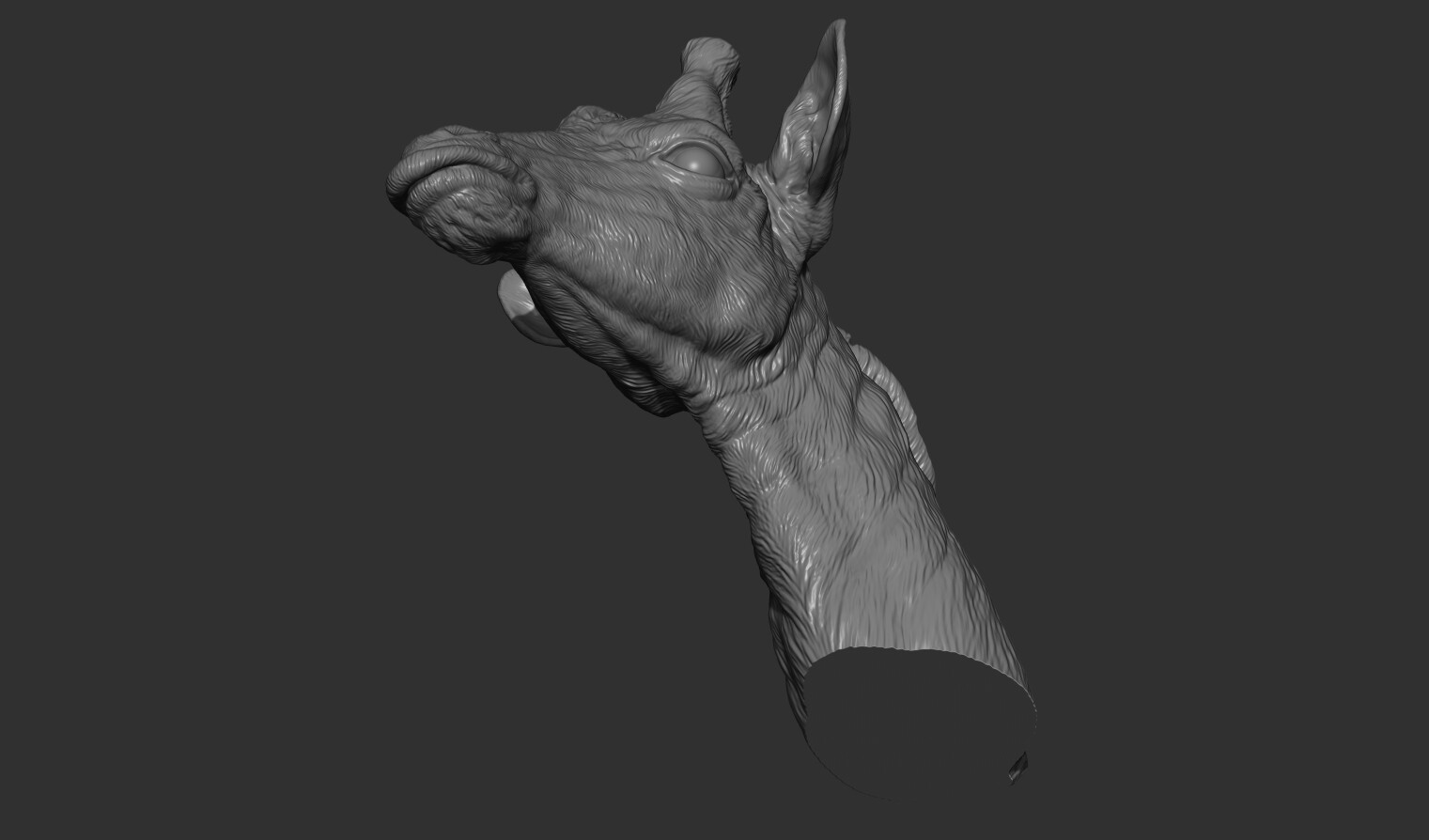 ArtStation - Giraffe head | Resources