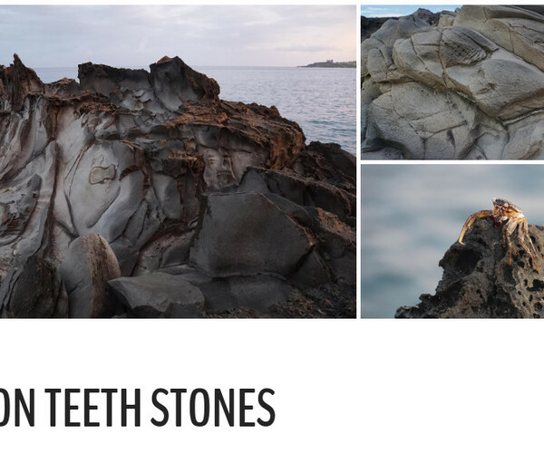 ArtStation - 240 photos of Dragon Teeth Stones | Resources