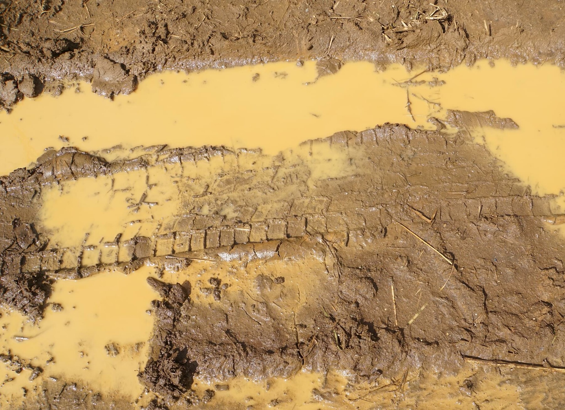 ArtStation - 341 photos of Mud Road | Resources