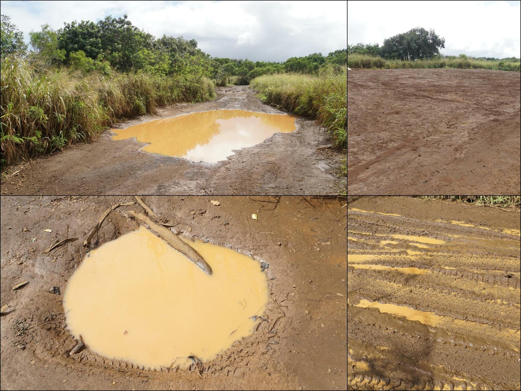 ArtStation - 341 photos of Mud Road | Resources