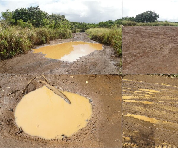 ArtStation - 341 photos of Mud Road | Resources