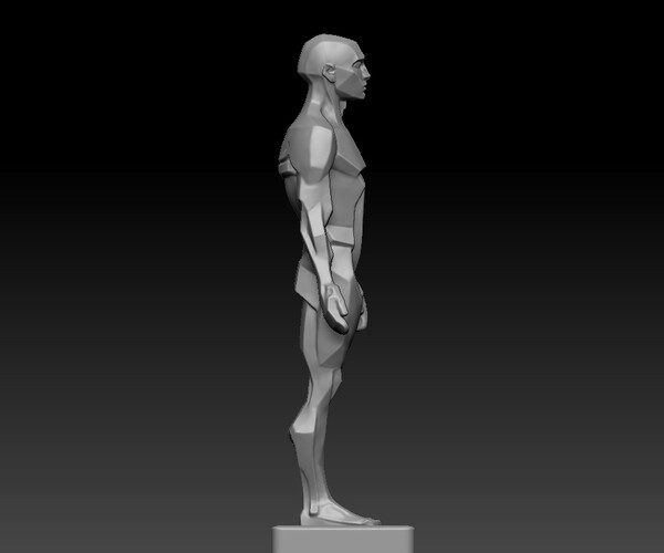 ArtStation - 3D Planes of the body | Resources
