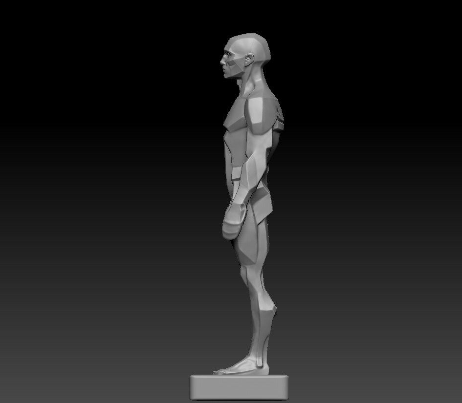 ArtStation - 3D Planes of the body | Resources