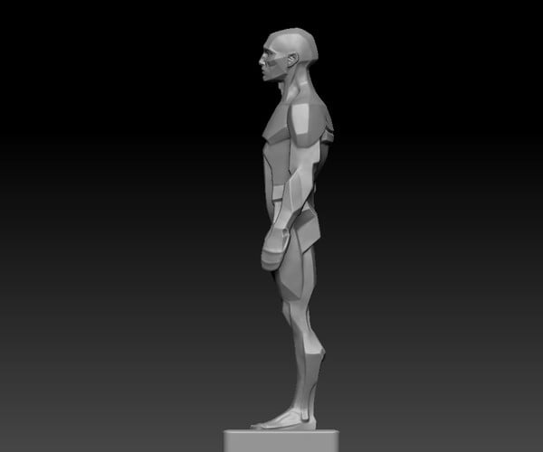ArtStation - 3D Planes of the body | Resources