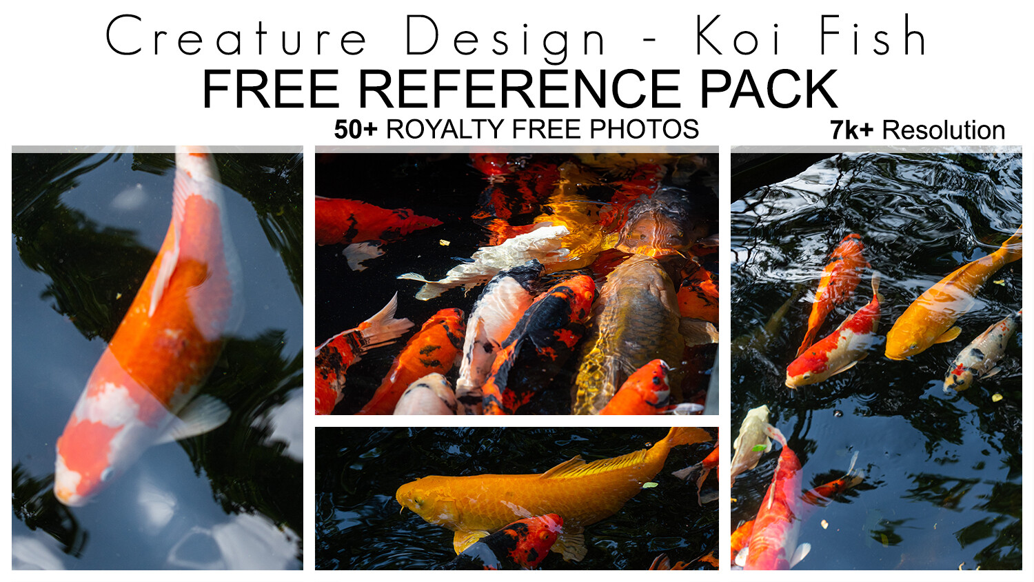 ArtStation - Free Creature Design Reference Pack - Koi Fish | Resources
