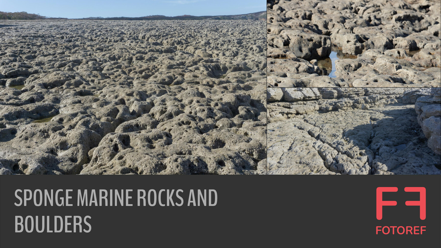 ArtStation - 70 photos of Sponge Marine Rocks and Boulders | Resources