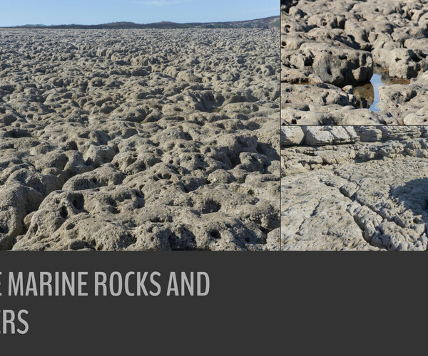 ArtStation - 70 photos of Sponge Marine Rocks and Boulders | Resources