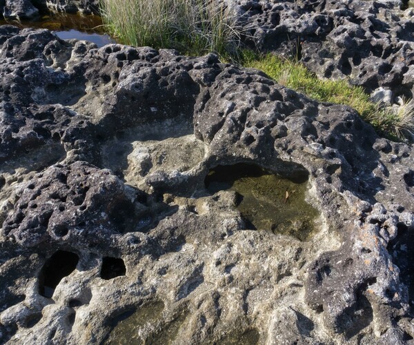 ArtStation - 70 photos of Sponge Marine Rocks and Boulders | Resources