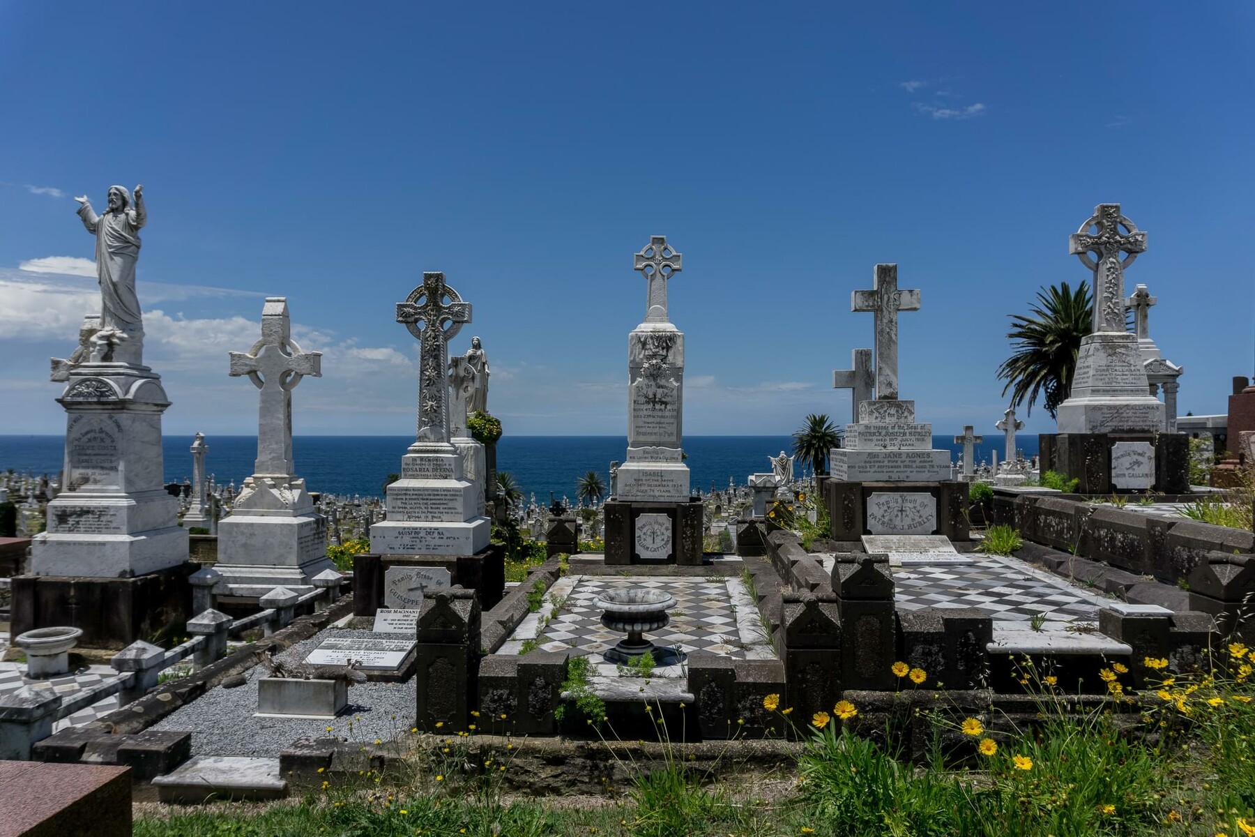 ArtStation - 109 photos of Tropical Cemetery | Resources