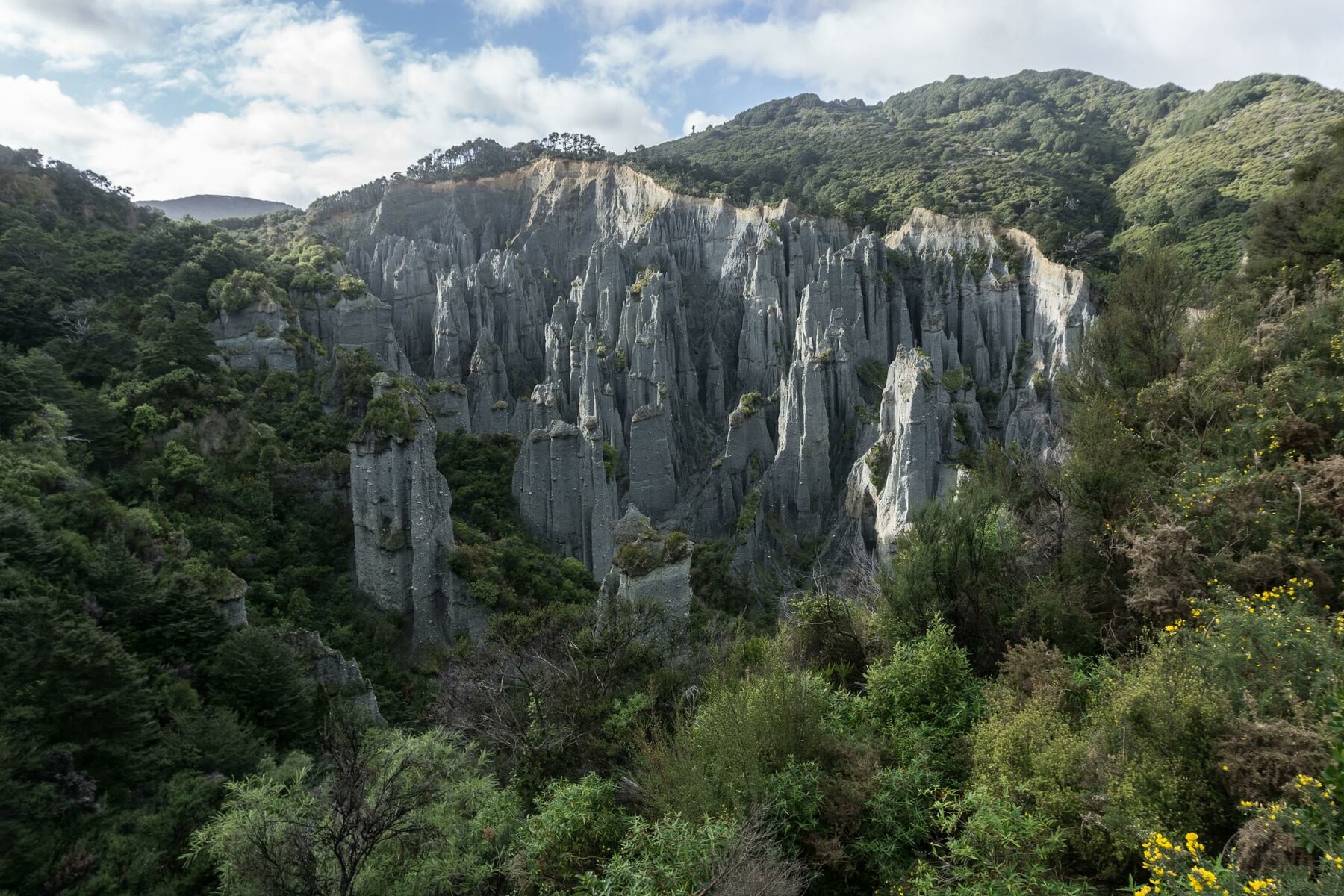 ArtStation - 255 photos of Gray Mud Pinnacles | Resources