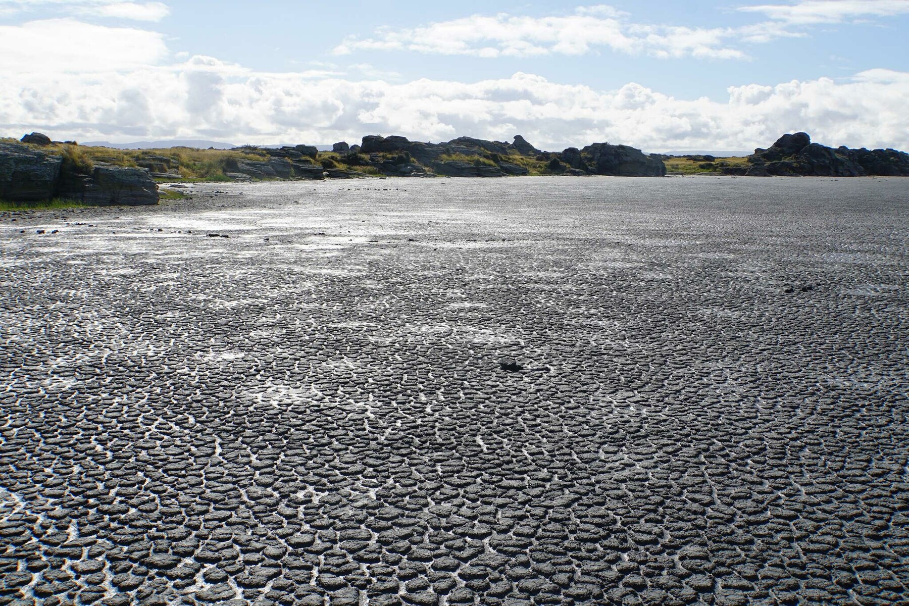 ArtStation - 177 photos of Mud Lake | Resources