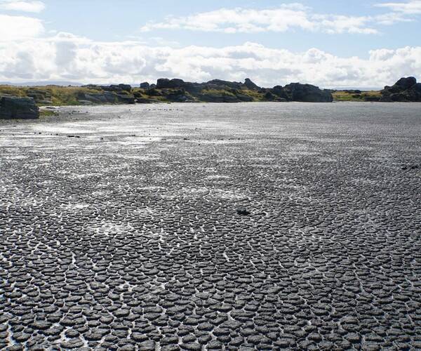 ArtStation - 177 photos of Mud Lake | Resources