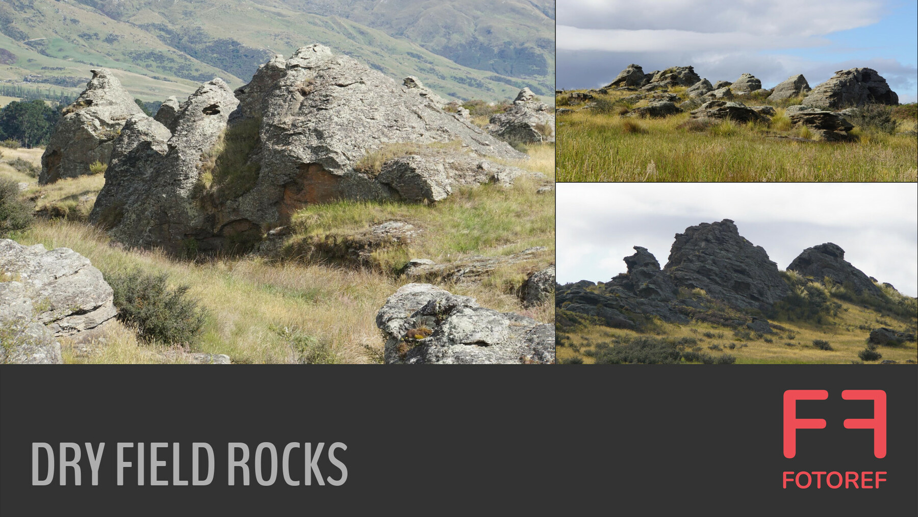 ArtStation - 193 photos of Dry Field Rocks | Resources