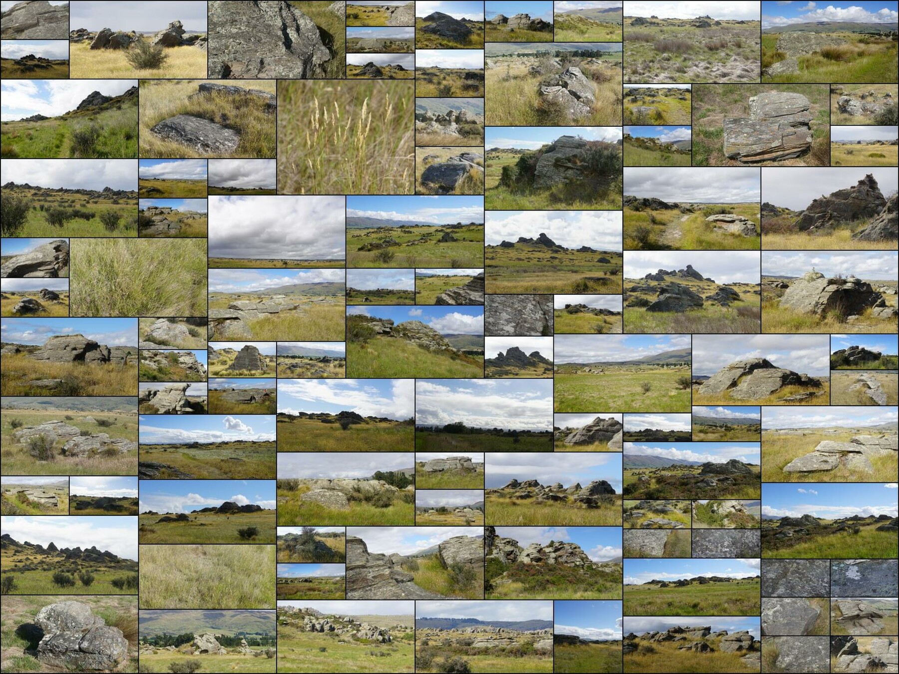 ArtStation - 193 photos of Dry Field Rocks | Resources