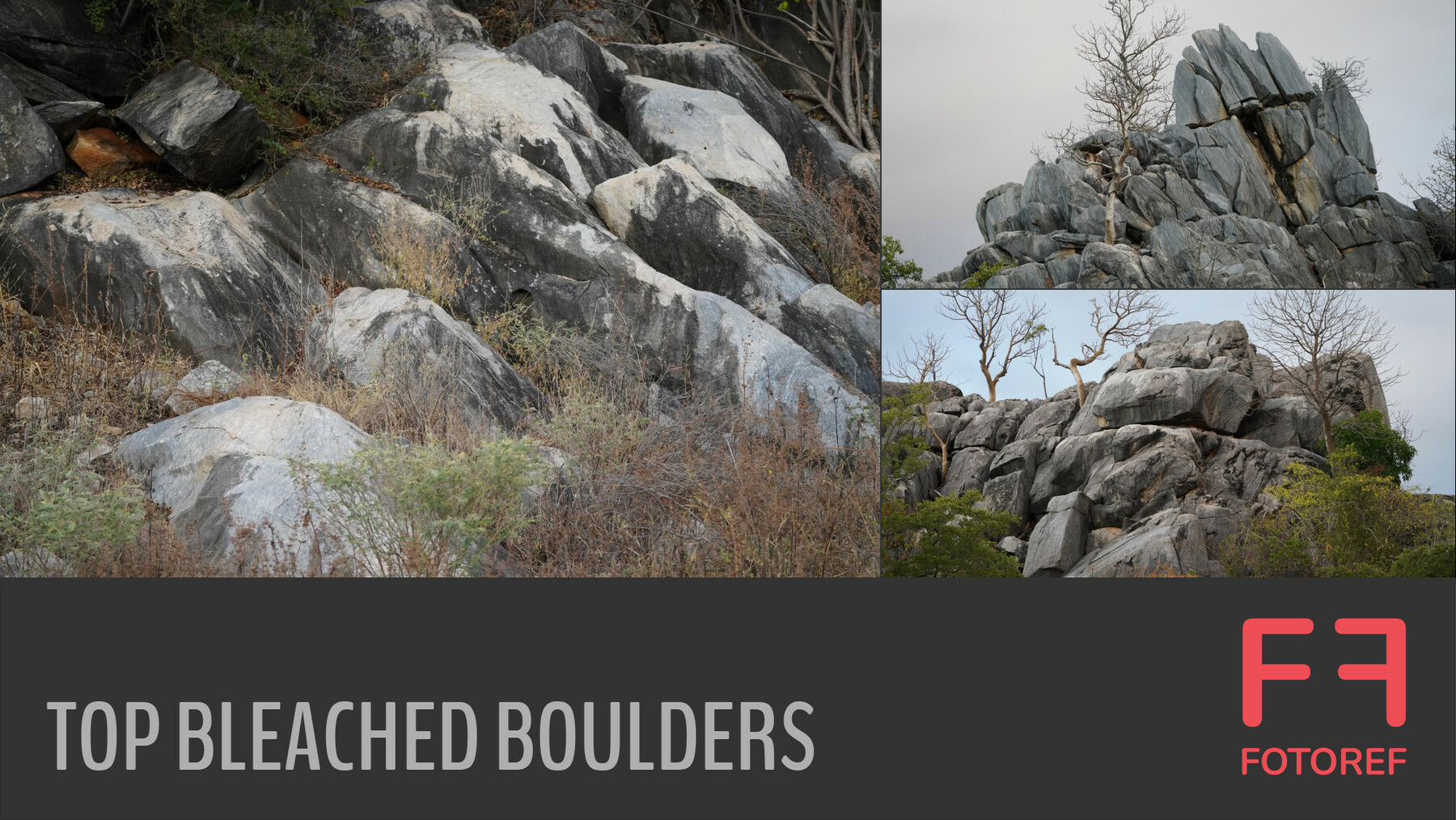 ArtStation - 87 photos of Top Bleached Boulders | Resources