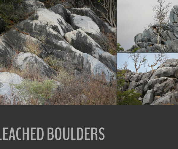 ArtStation - 87 photos of Top Bleached Boulders | Resources