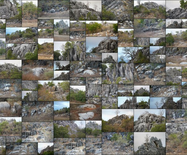 ArtStation - 87 photos of Top Bleached Boulders | Resources