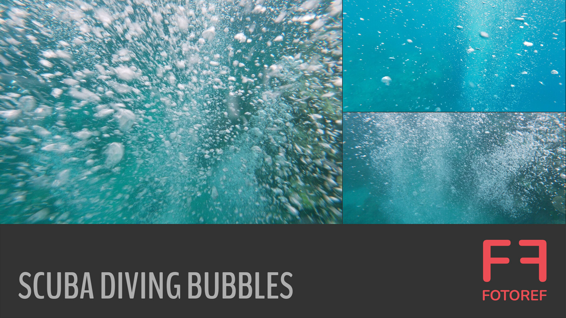 ArtStation - 135 photos of Scuba Diving Bubbles | Resources