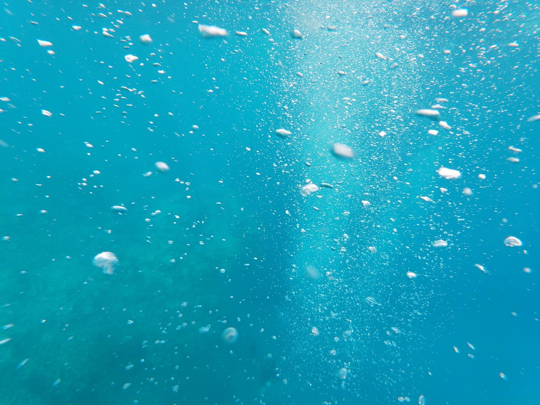 ArtStation - 135 photos of Scuba Diving Bubbles | Resources