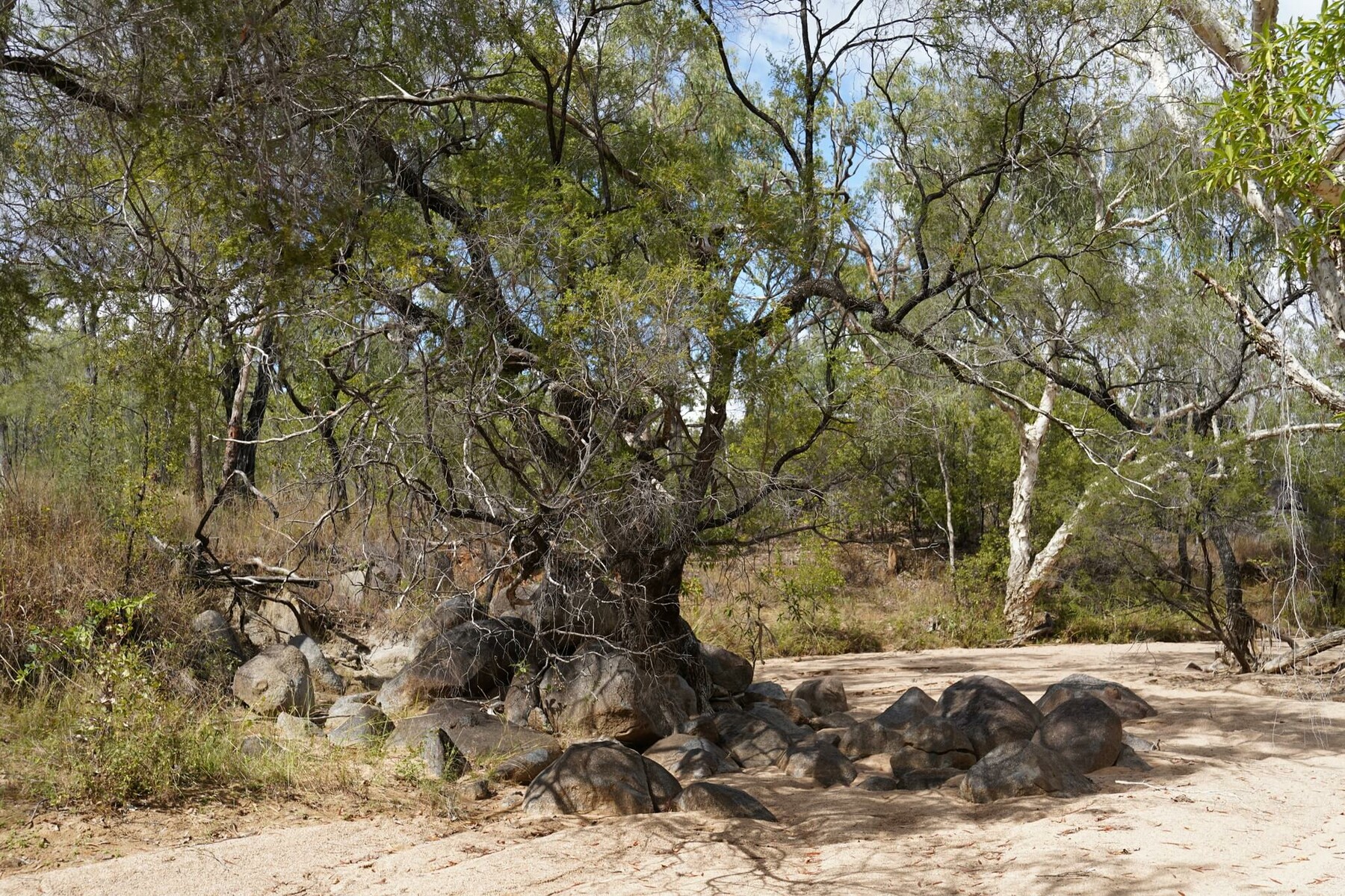 ArtStation - 106 photos of Sandy Dried Out Stream | Resources