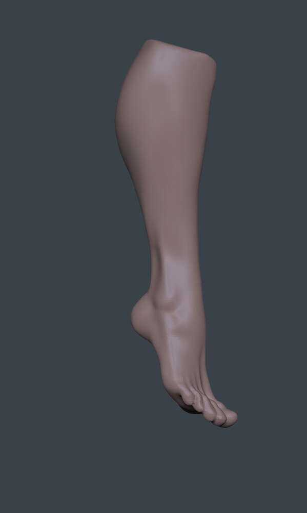 ArtStation - Female human foot | Resources