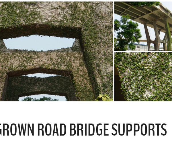 ArtStation - 159 photos of Overgrown Road Bridge Supports | Resources