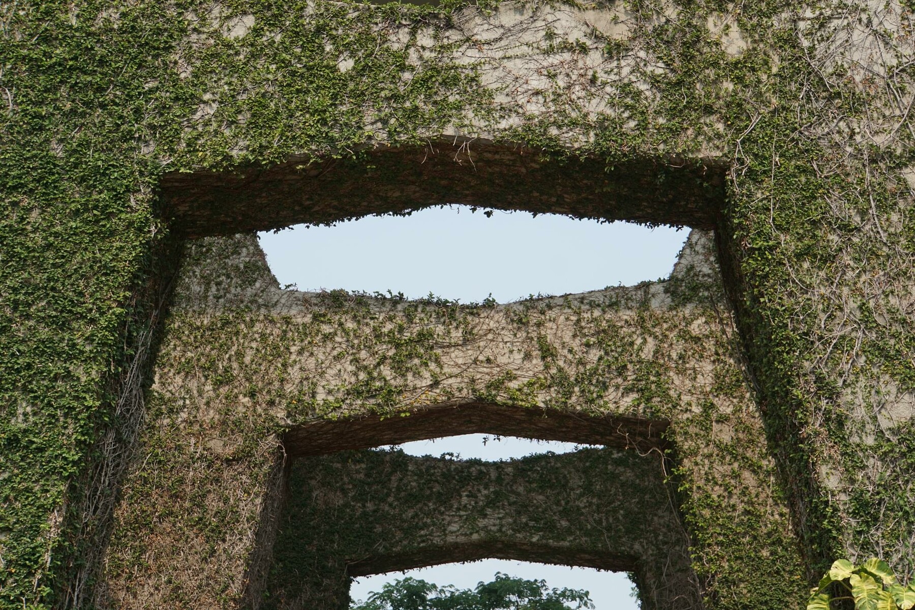 FOTOREF.COM Photo Packs - 159 photos of Overgrown Road Bridge Supports