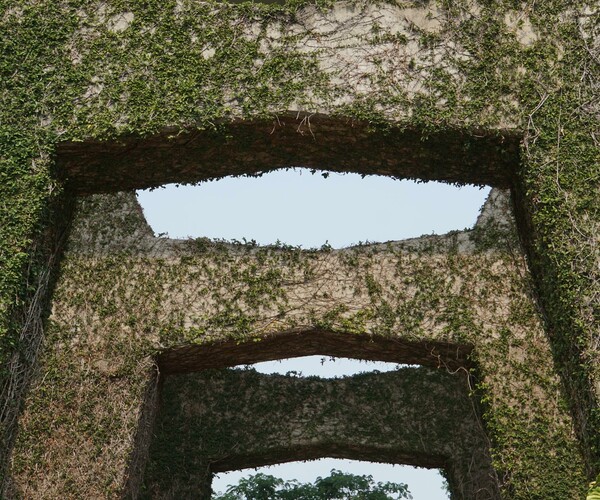 ArtStation - 159 photos of Overgrown Road Bridge Supports | Resources