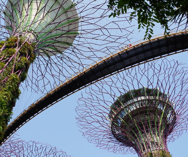 ArtStation - 255 photos of Giant Tree Garden Structures | Resources