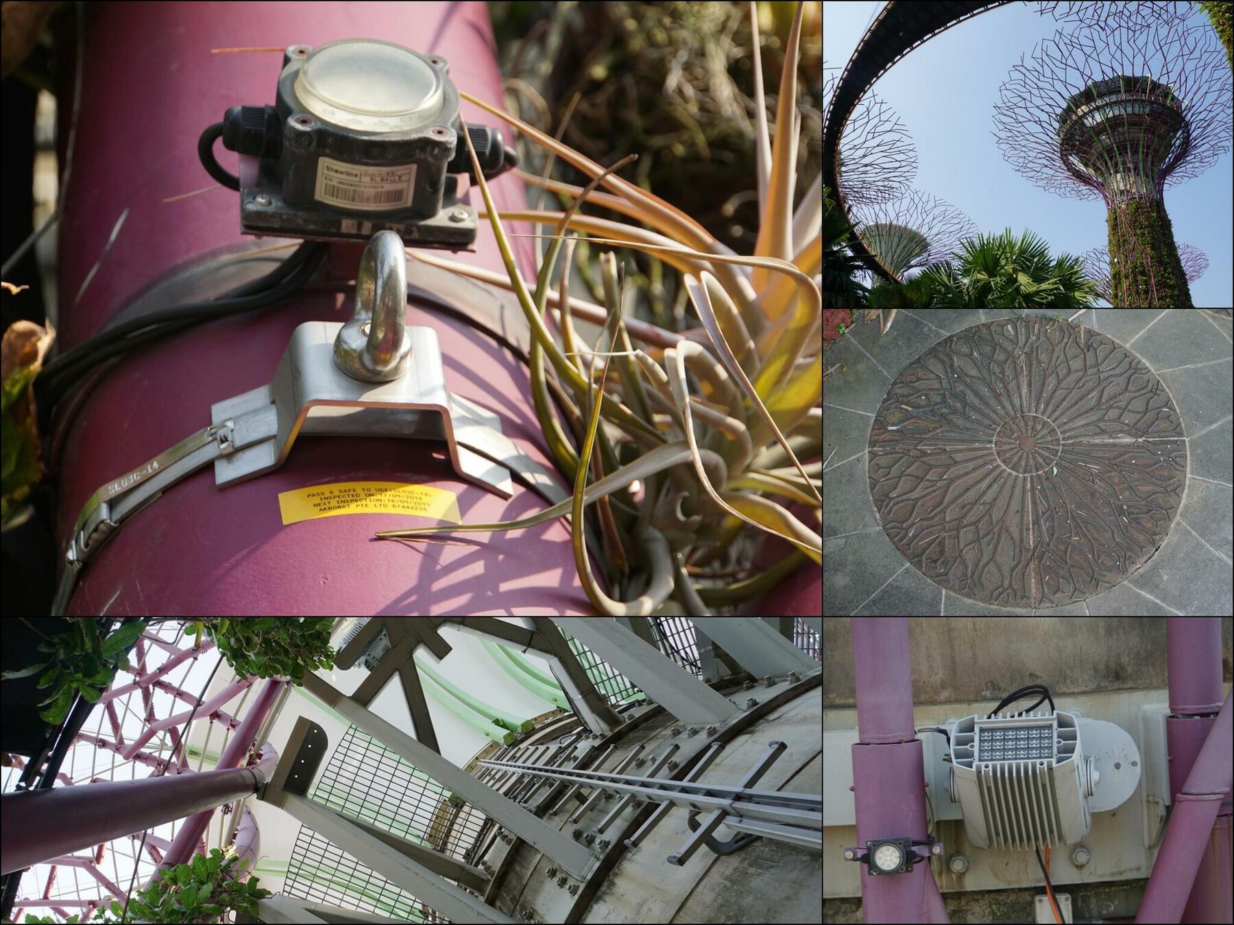 ArtStation - 255 photos of Giant Tree Garden Structures | Resources