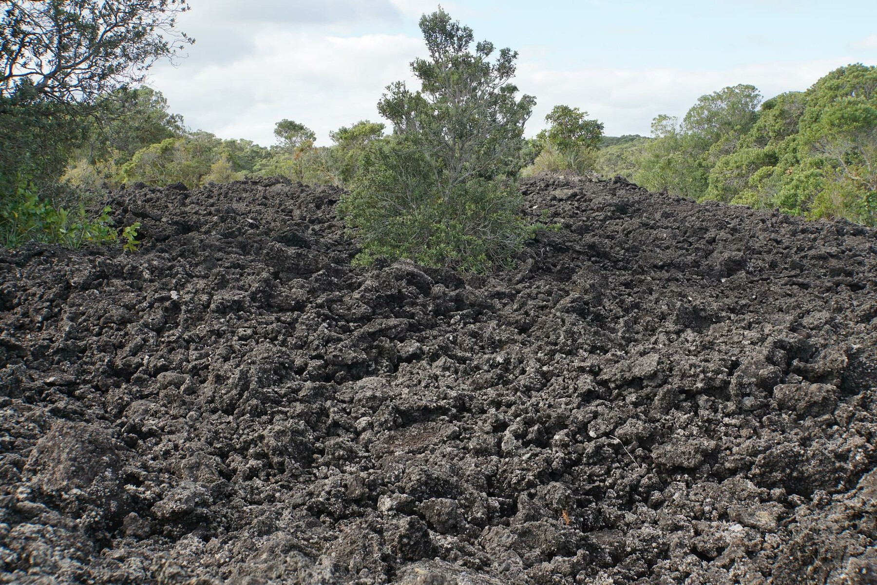 ArtStation - 376 photos of Volcanic Island Lava Rock Fields | Resources