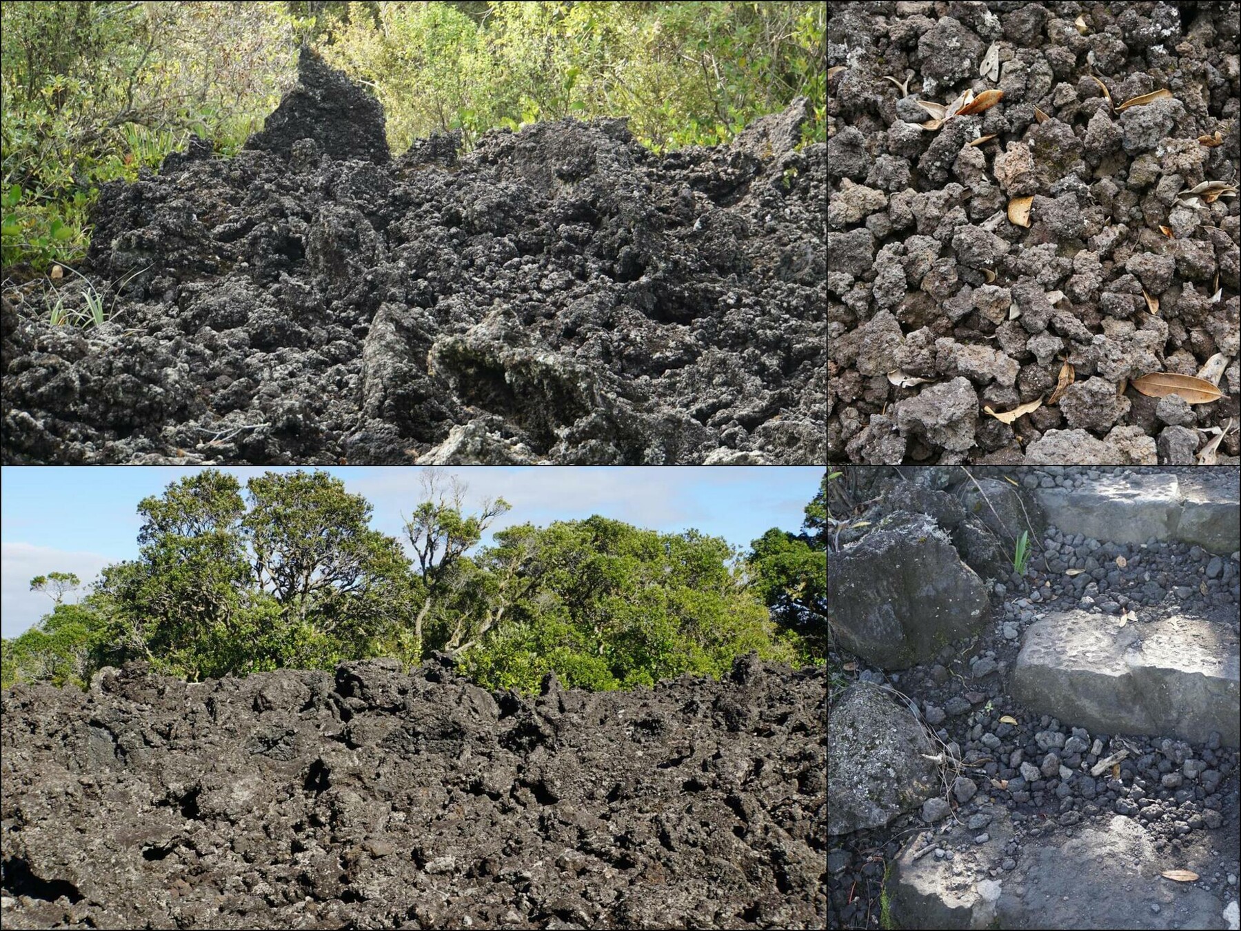 ArtStation - 376 photos of Volcanic Island Lava Rock Fields | Resources