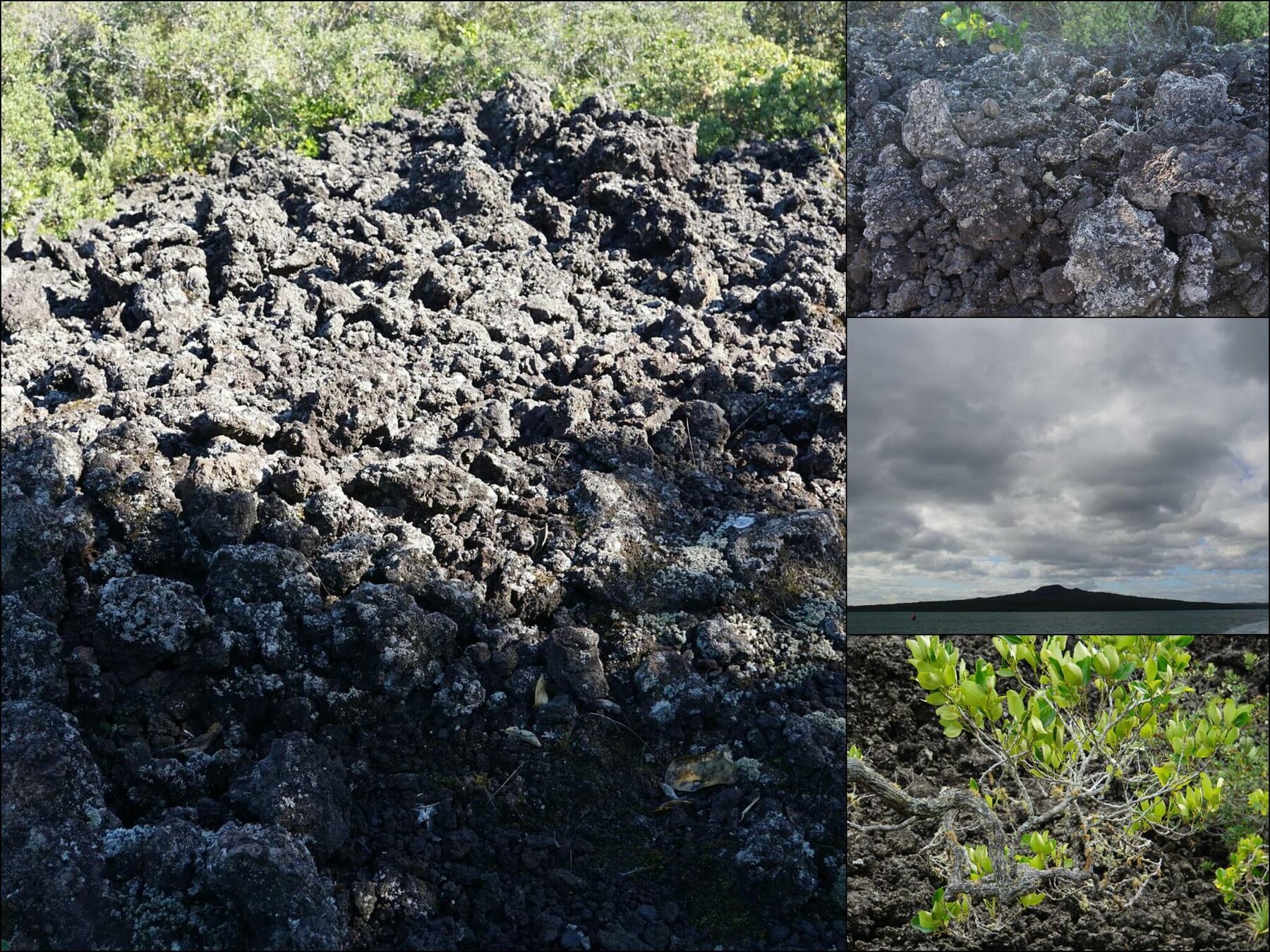ArtStation - 376 photos of Volcanic Island Lava Rock Fields | Resources