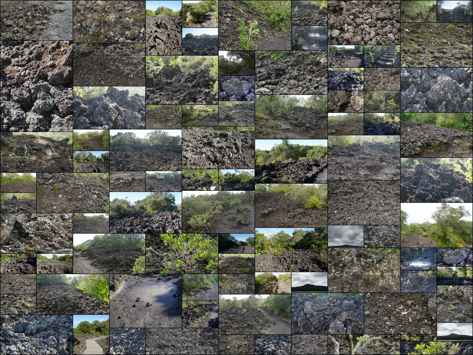 ArtStation - 376 photos of Volcanic Island Lava Rock Fields | Resources