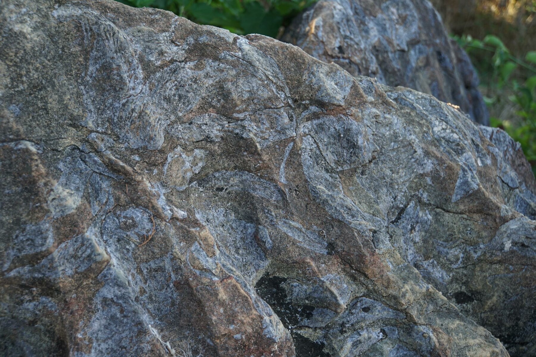 ArtStation - 115 photos of Fossilized Rocks | Resources