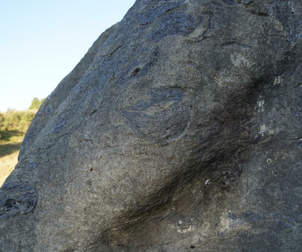 ArtStation - 115 photos of Fossilized Rocks | Resources