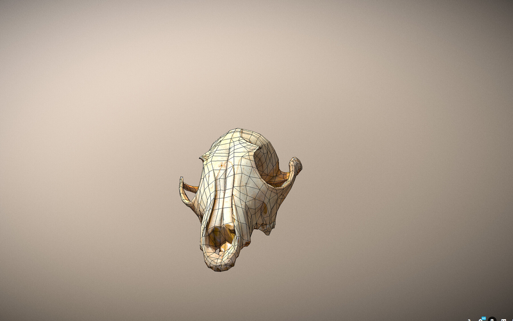 ArtStation - Small skull | Game Assets