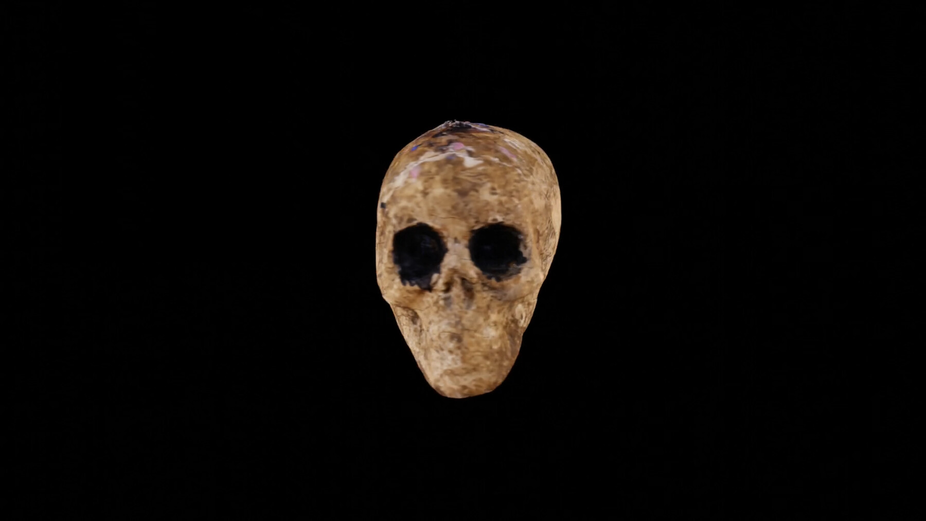 ArtStation - Realistic high resolution human Skulls | Game Assets