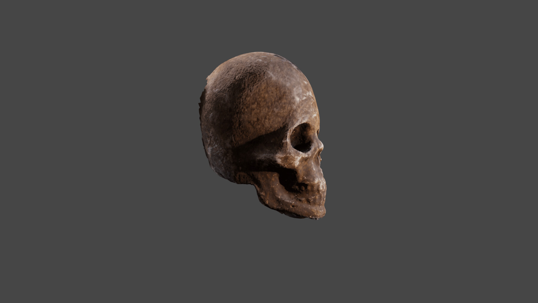 ArtStation - Realistic high resolution human Skulls | Game Assets
