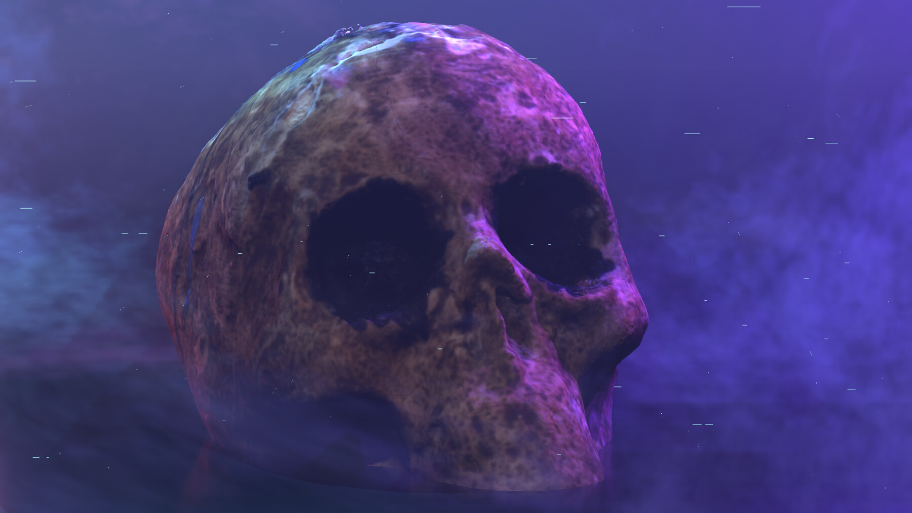 ArtStation - Realistic high resolution human Skulls | Game Assets