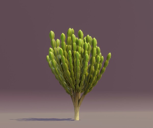 ArtStation - Cartoon Candelabra Tree 3D Model | Game Assets