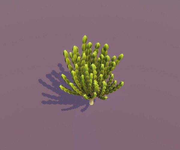 ArtStation - Cartoon Candelabra Tree 3D Model | Game Assets