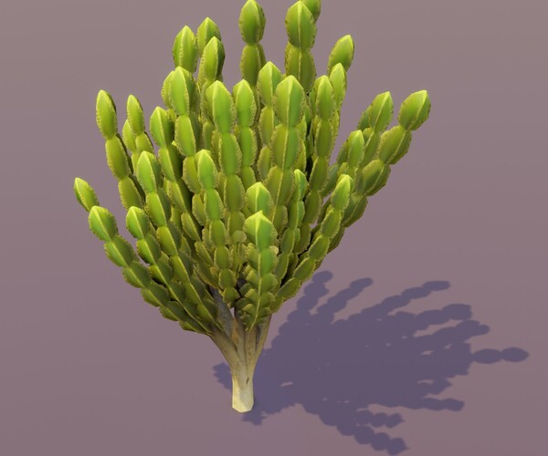 ArtStation - Cartoon Candelabra Tree 3D Model | Game Assets