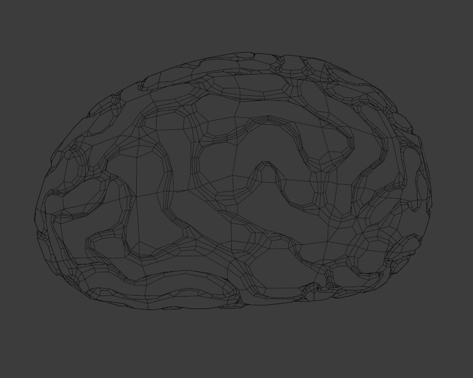 ArtStation - Brain | Resources