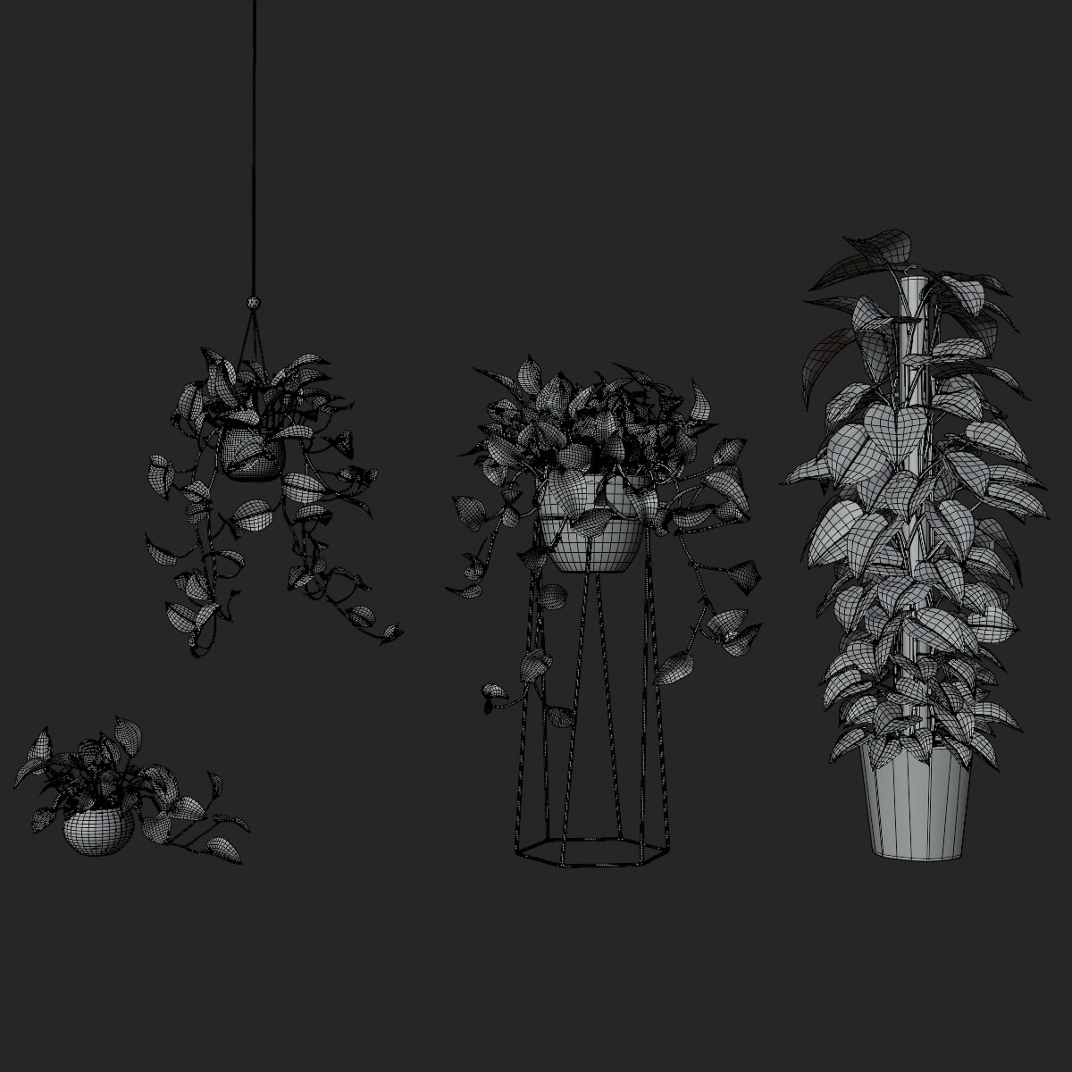 ArtStation - 3D Plant | Scindapsus Pictus | VFX Grace | Game Assets