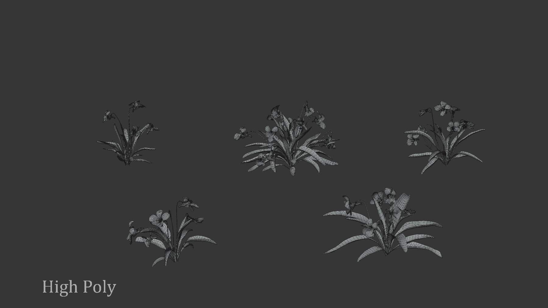 ArtStation - 3D Flower | Viola Philippica | VFX Grace | Game Assets